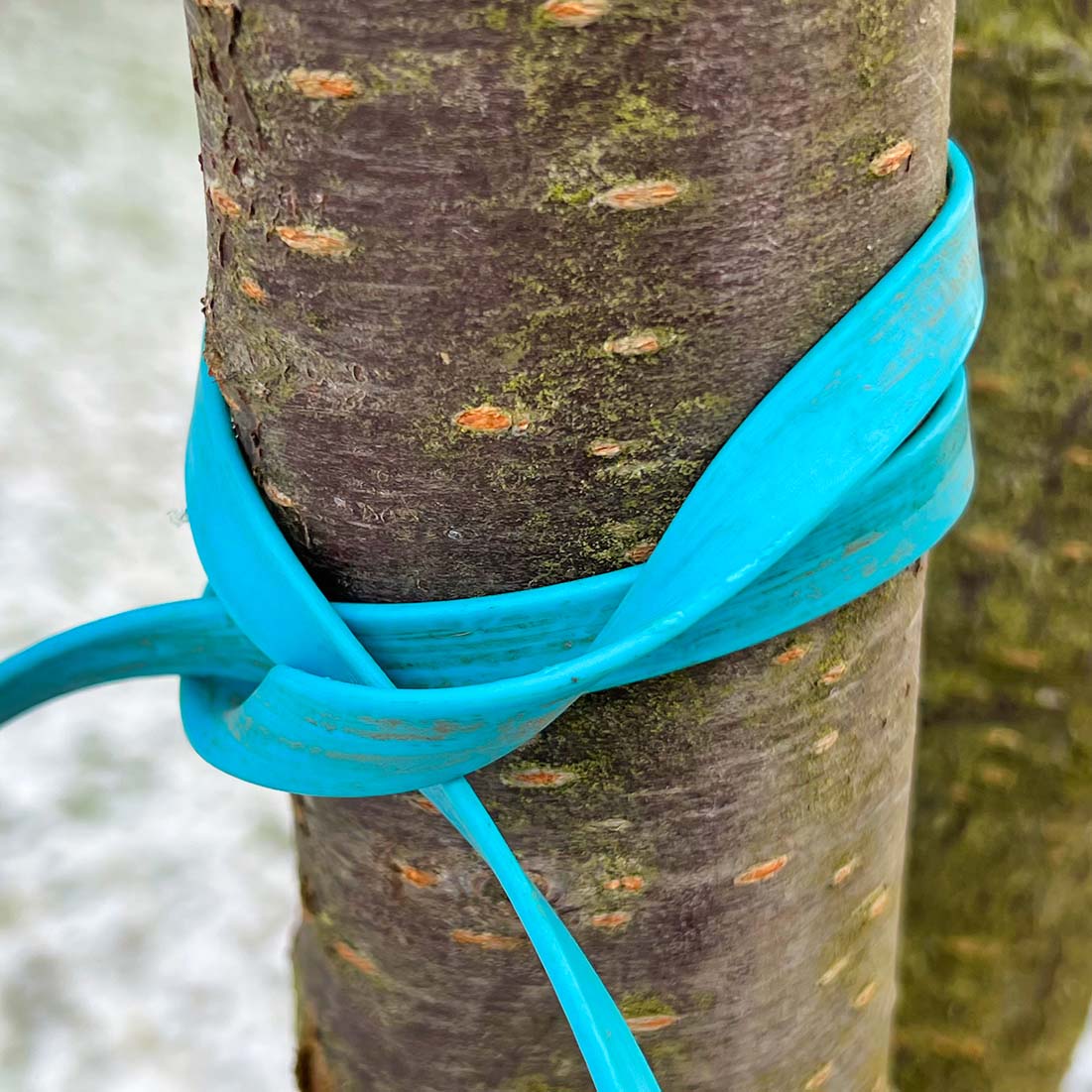 Mastwurf Knoten – super praktisch und schnell gelernt